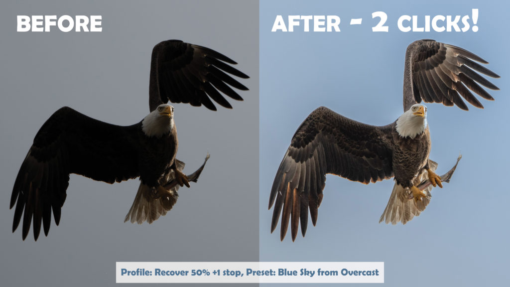 Microsoft ICE - Tony & Chelsea Northrup